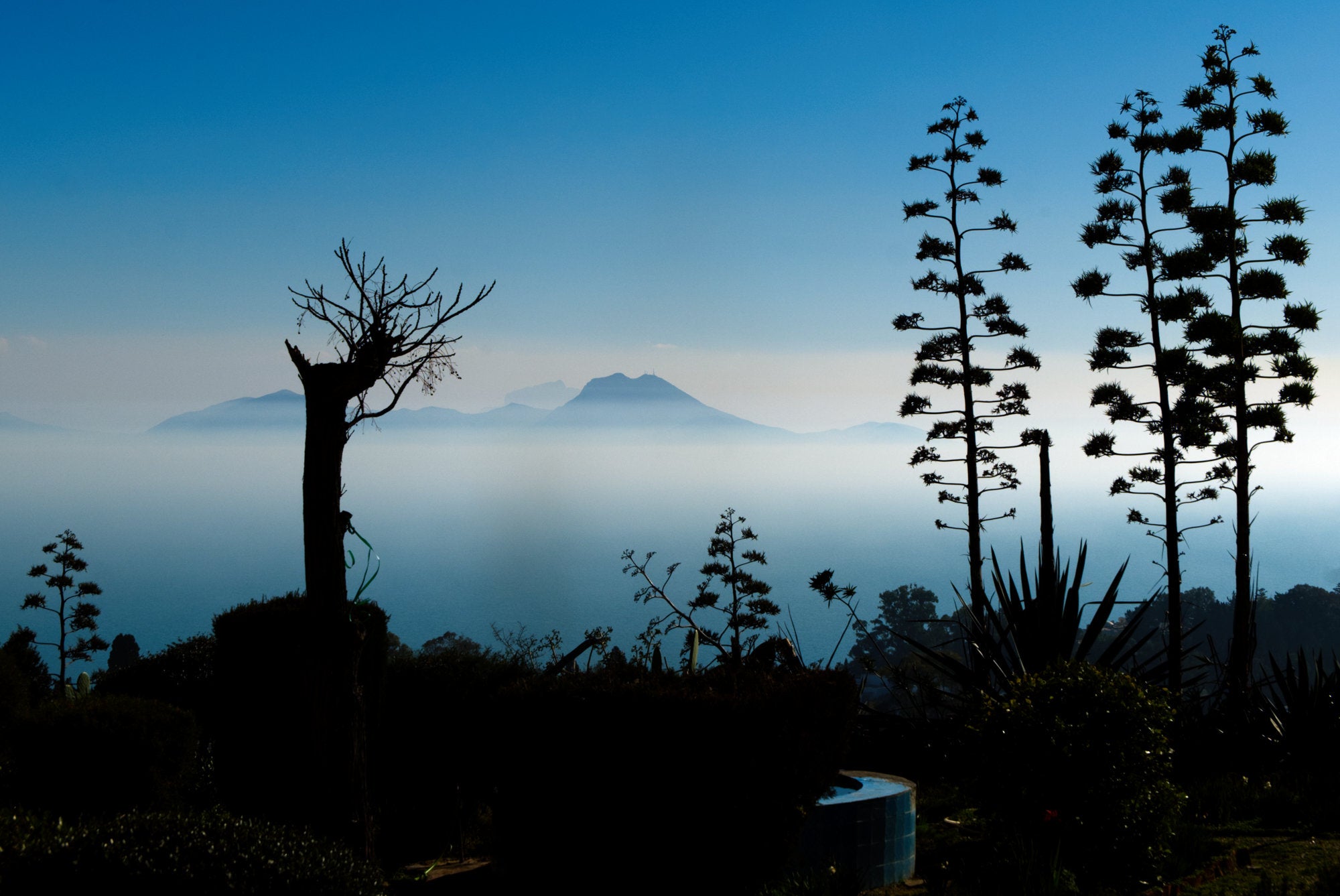 The photography of Paul Treacy – paultreacy